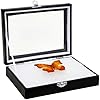 Amazon.com - Juvale Insect Display Case - 8 x 6 x 1.8 in, Black - Glass ...