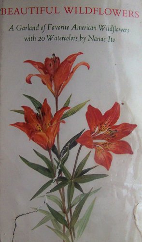 Beautiful Wildflowers ~ a Garland of Favorite American Wildflowers with ...