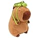 Amazon.com: CHDBLOCK Capybara Stuffed Animals,Capybara Plush Toys ...