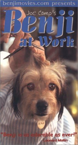Amazon.co.jp: Benji at Work [VHS] : Benji: DVD