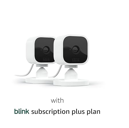 Amazon.com: Free Blink Mini with 1-Year Subscription, 2 cameras (White ...