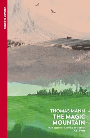 The Magic Mountain: Mann, Thomas: 9780749386429: Amazon.com: Books