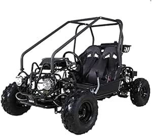 Amazon.com: HHH Gokart GK110 Upgraded 125cc Go Kart Gas Fully ...