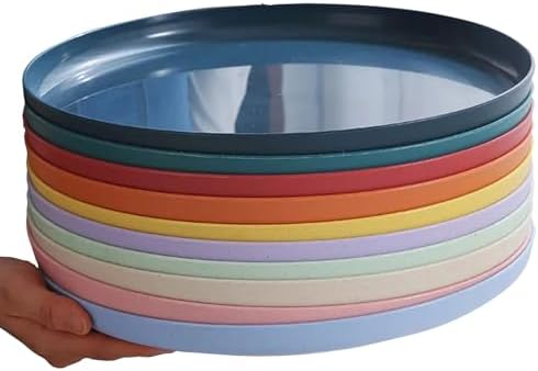 Amazon.com | 10 Pack 12 Inch Plastic Plates Dinner Plates,Unbreakable ...