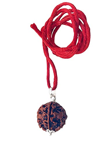 Buy SRT Rudra 5 Mukhi Rudraksha Pendant Lab Certified Nepali Five Mukhi ...