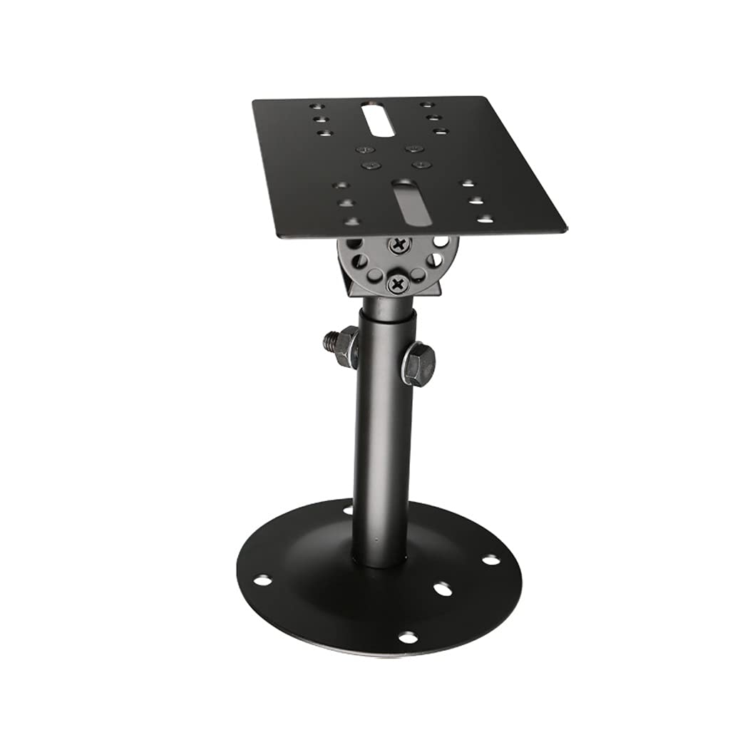 Buy Speaker Wall Speaker Wall Ceiling Expansion and Contraction Speaker ...