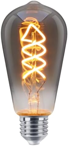 Long Life Lamp Company Edison Classics 2w Vintage LED Filament Bulb ...