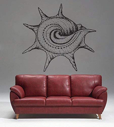 Amazon.com: shell wall decal ae391 : Handmade Products
