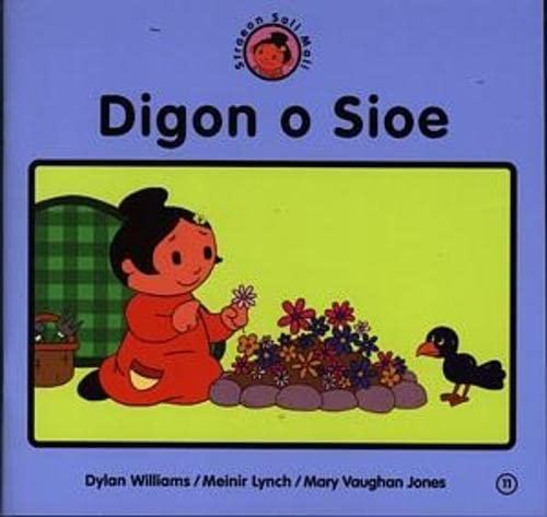 Amazon.com: Straeon Sali Mali: Digon O Sioe: 11: 9781902416922: Dylan ...