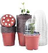 Amazon.com: RooTrimmer 40 Pack 4 Inch Plant Nursery Pots with Mesh Pad ...