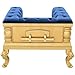 Amazon.com: Apex Casket Company Gothic Inspired Royal Blue Velvet ...