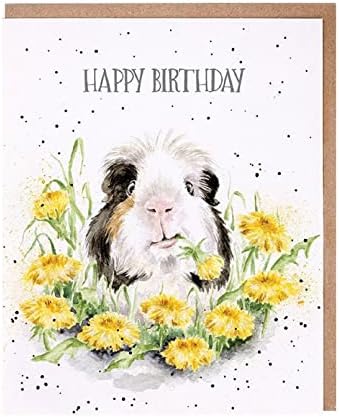 Wrendale Designs - 'Wonderful Dad' Card : Amazon.co.uk: Stationery ...