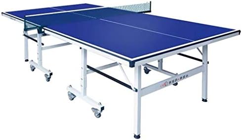 Professional Table Tennis Table Ping Pong Table - Folding, Space Saving ...