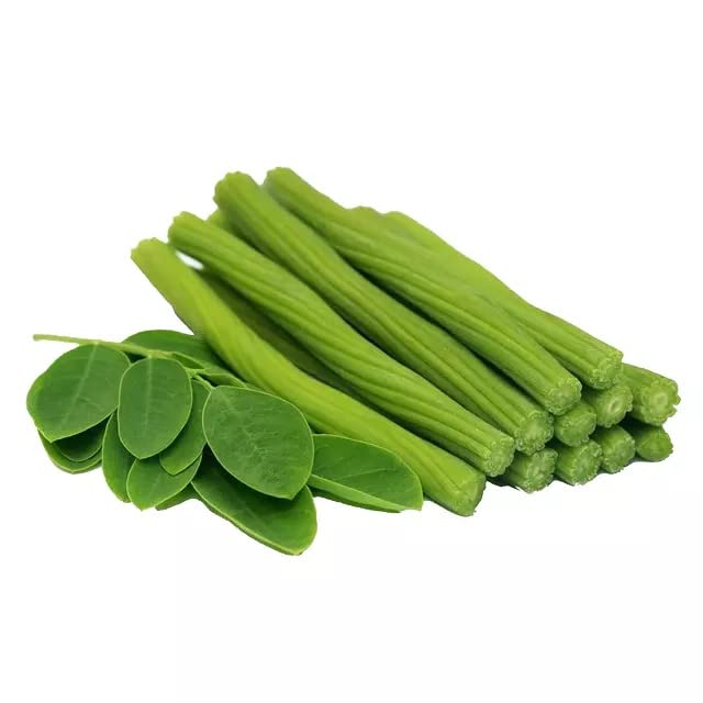 Organic Drumstick/Sehjan,Moringa Oleifera-S67K-100Seeds : Amazon.in ...
