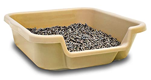 12 Best Cat Litter Boxes For Your Senior Cat