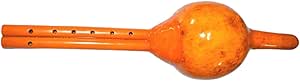 Amazon.com: Folk Musical Instrument Snake Charmer Flute/been/Pungi ...