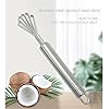 Amazon.com: Kitchen Supplies Stainless Steel Coconut Shredder Melon and ...