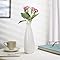Buy Indulge Homes - White Vase/Office Desk Flower Vase Pampas Grass ...