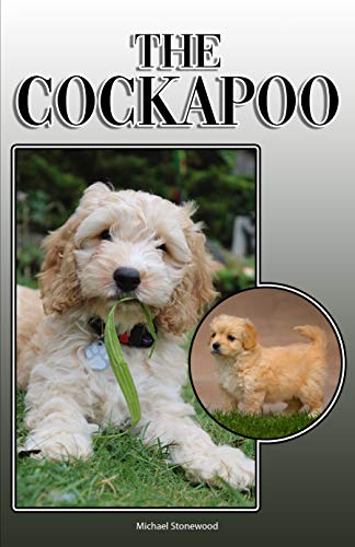 The Cockapoo: A Complete and Comprehensive Owners Guide to: Buying ...