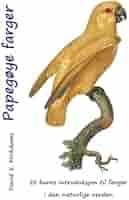 Tegneserietegninger Papegøye Farger: Et Barns Introduksjon Til Farger