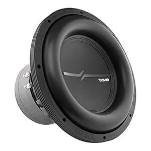 Amazon.com: DS18 ZXI12.2D 12 Inches High Excursion Car Subwoofer - 2000 Watts Dual Voice Coil 2 ...
