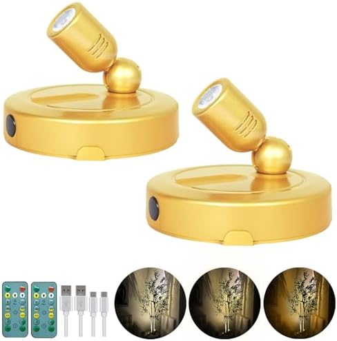 HAMVIDNE Rechargeable Indoor Spotlight, 3 Lighting Modes Battery ...