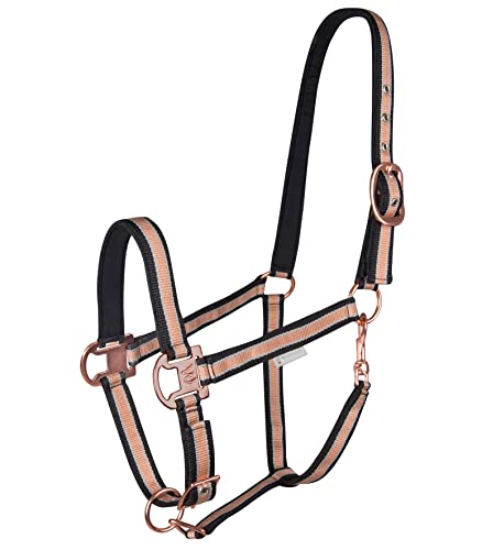 Die 16 besten Pferdehalfter - Haustierratgeber Ratgeber