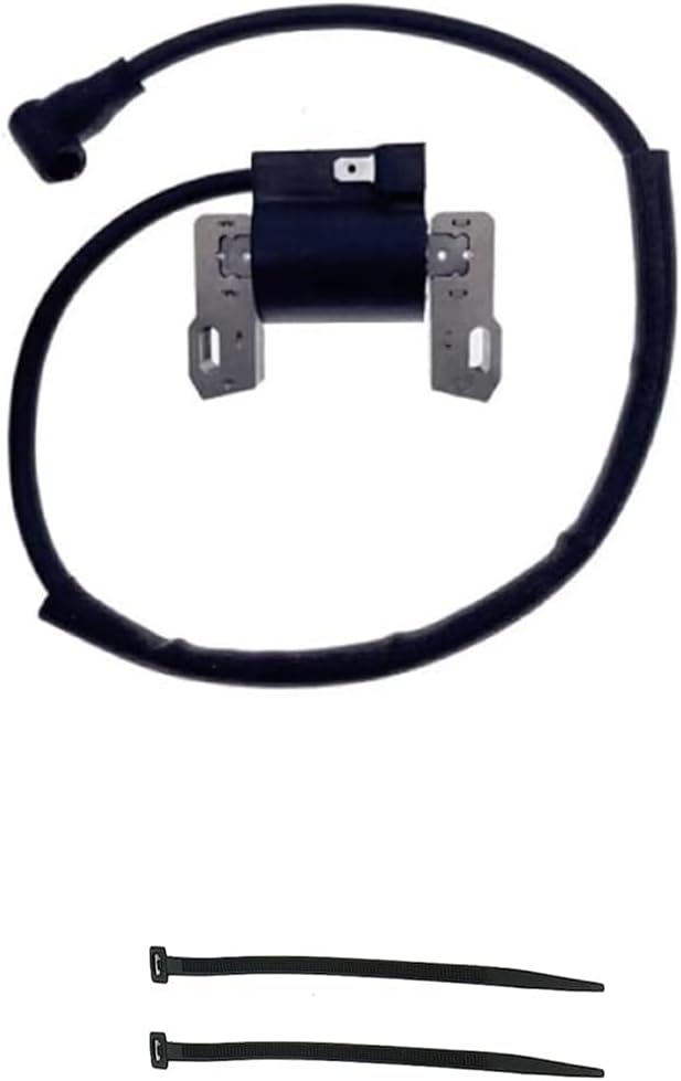 Amazon.com: INPWOC Ignition Coil 398811 for Briggs Stratton 395326 ...
