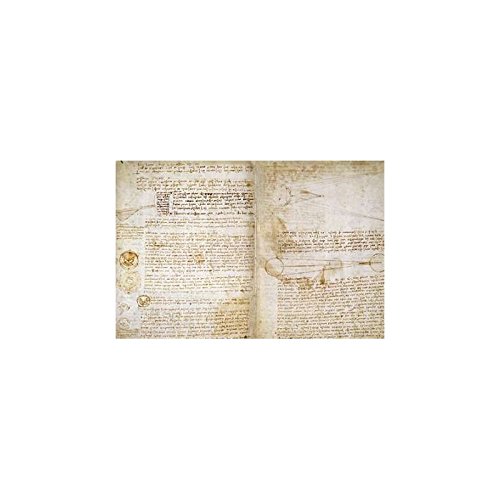 The Codex Hammer Pages 48-51 : Amazon.in: Home & Kitchen