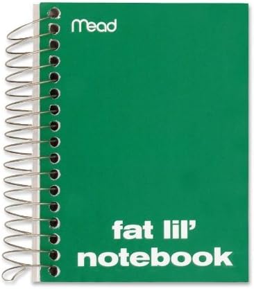 Amazon.com : Fat Lil' Notebook : Wirebound Notebooks : Office Products