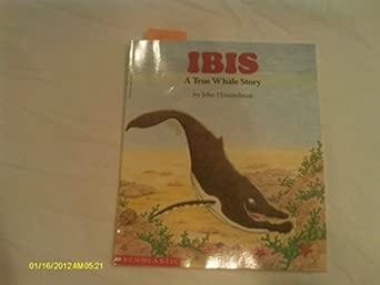 Amazon.com: Ibis: A True Whale Story (Wiggleworks): 9780590428491 ...