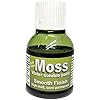 Amazon.com: Dirty Down Moss - Water-based paint for a highly realistic ...