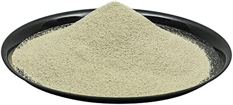 Amazon.com : Zeo, Inc ZeoSand-50 ZeoSand Swimming Pool Sand Replacement ...