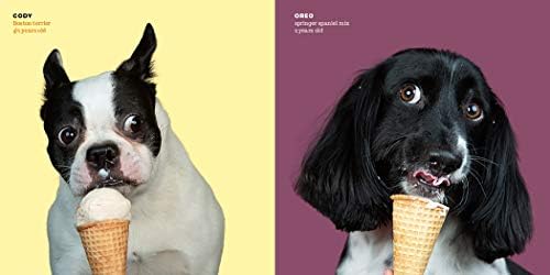 Should Dogs Have Ice Cream