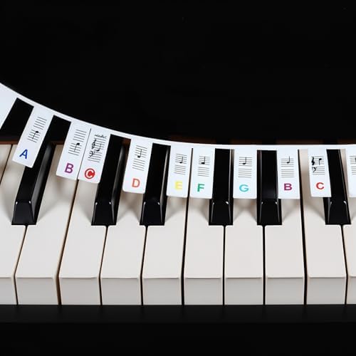 Amazon.com: JIYIN Removable Piano Keyboard Note Labels, 61 Key Full ...