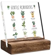 Amazon.com: Obookey Positivity Gifts Desk Decor - Gentle Reminders ...