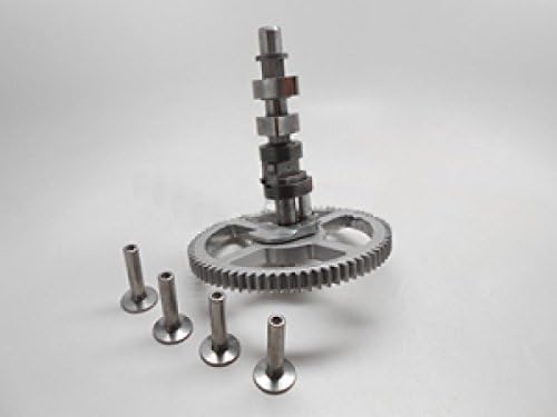 Amazon.com: Briggs and Stratton 84005207 Camshaft, Chrome : Automotive