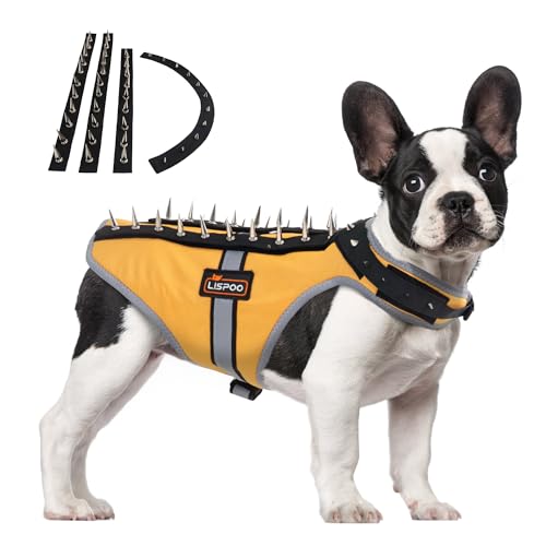 Spike Vest for Dogs – The 15 best products compared - Wild Explained