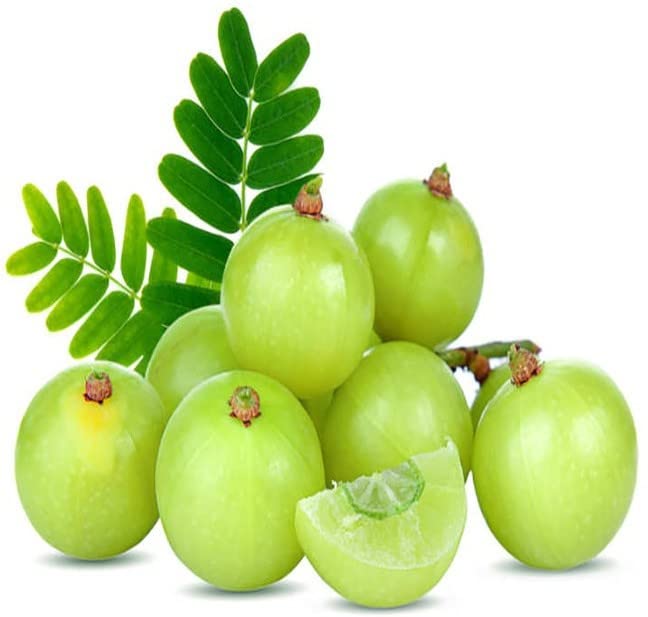 Mohomaya Beautiful Gardening Amlakhi 01 - |Amlakhi 01| : Amazon.in ...