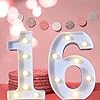 Amazon.com: 8.8"Decorative LED Light up Numbers, Marquee Numbers Lights ...