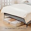 Amazon.com: Berdeng 3 Pack Under Bed Storage Containers, Low Profile ...