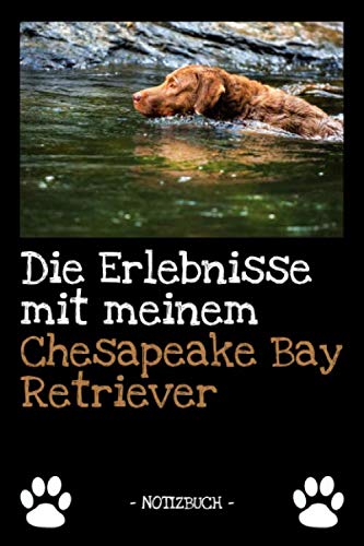 Hundefutter Aus Bayern – Die 15 besten Produkte im Vergleich ...