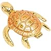 Amazon.com: QIFU Hand Painted Sea Turtle Tortoise Decorative Hinged ...