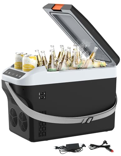 Plug In Ice Chest – The 16 best products compared - Wild Explained