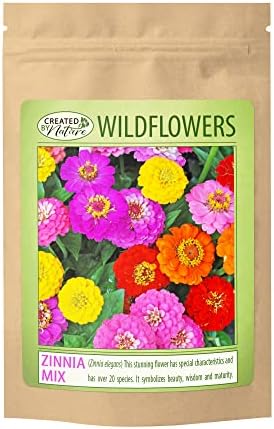 Amazon.com : English Lavender Flower Seeds for Planting - Over 3,000 ...