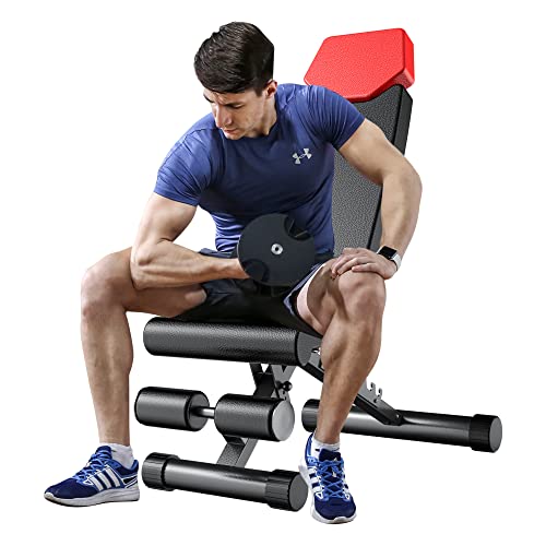 Top 15 Best AB Lounger Reviews & Comparison 2023