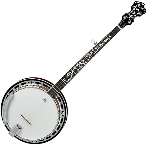 Amazon.com: Gold Tone AC-5: Beginner 5-String Banjo with Resonator ...