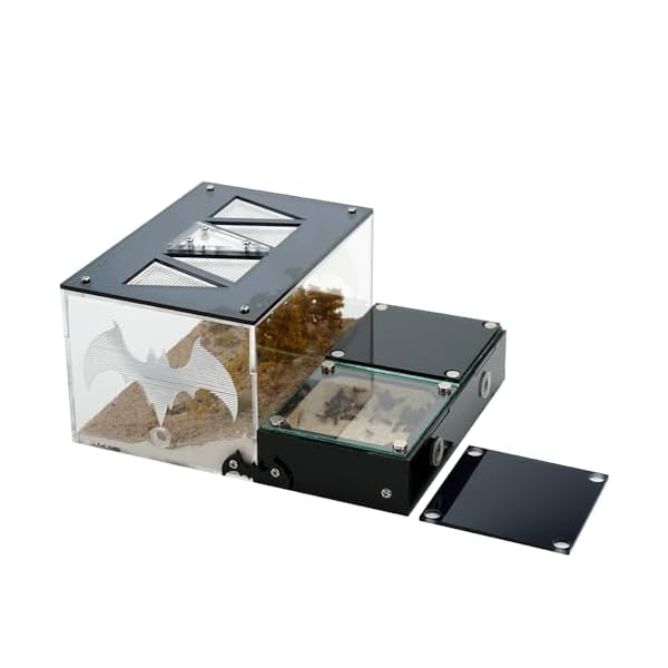Rimsunta Ant Farm Ant House for ant Farm for Adults Study of Ant ...