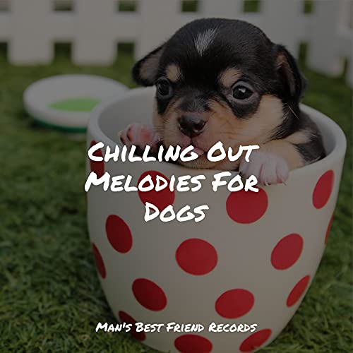 Amazon Music - Dog Music Club, Sleeping Music For Dogs, Jazz Music for ...