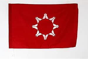 Amazon.com : Oglala Sioux Tribe Flag 2' x 3' for a pole - Oglala Lakota ...